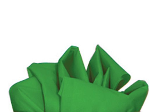 Slide Sheet – Green - Shop | Compact Business Systems Australia