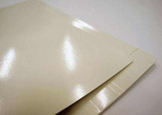 Two Tab File Folders Foolscap Size - Shop | Compact Business Systems ...