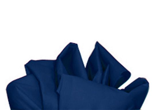 Sliding Sheets (Blue) | Slide Sheet Bedding | Compact Business Systems ...